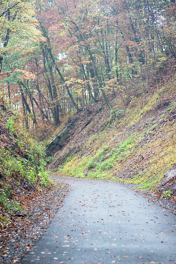 Saxton unveils newly revitalized trail at Warriors Path State Park | News, Sports, Jobs ...